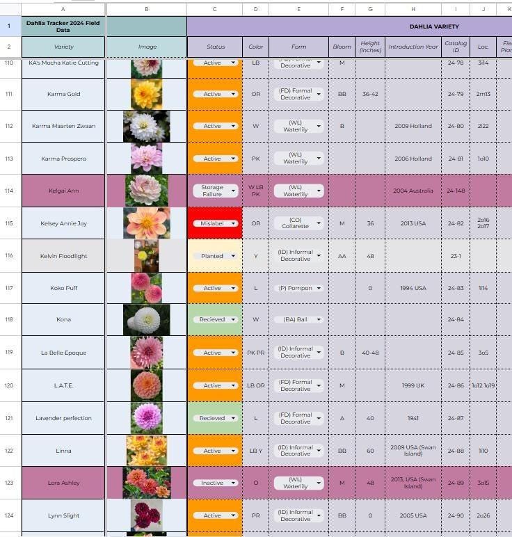 Digital Spreadsheet Dahlia Tracker - Etsy