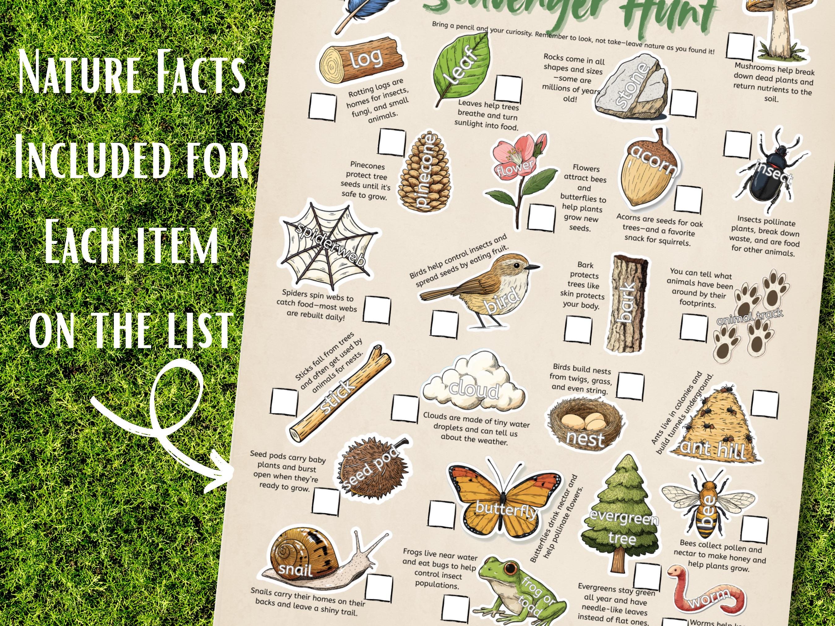 Nature Scavenger Hunt Printable, Outdoor Kids Activity Game, Camping ...