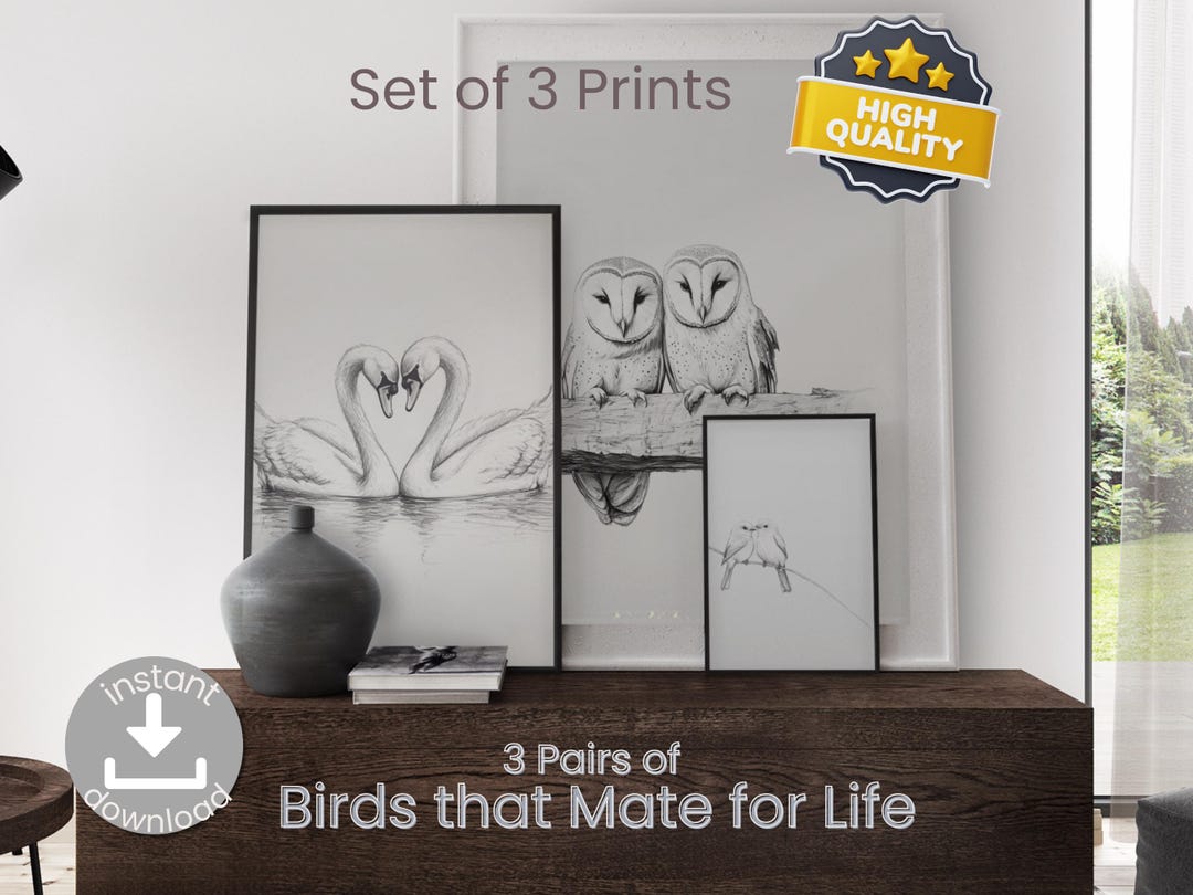 Set of 3 Birds Wall Art, Pencil Sketch Style of Birds, Bird Lovers ...