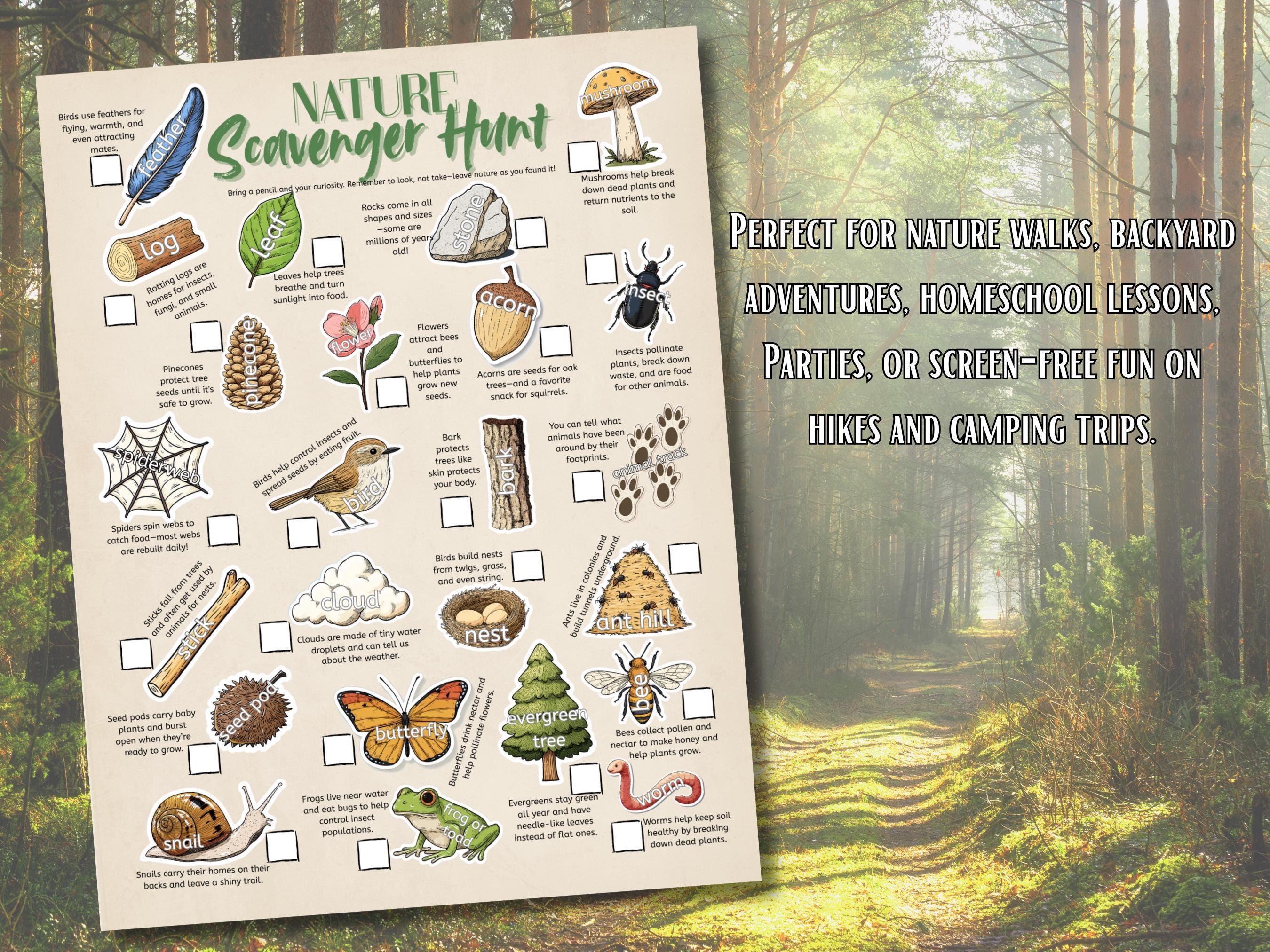 Nature Scavenger Hunt Printable, Outdoor Kids Activity Game, Camping ...