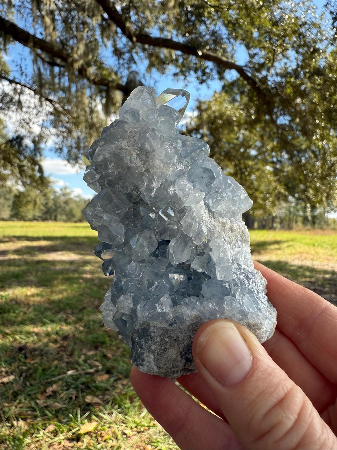 1 LB Large Celestite Crystal Geode for Relaxation C3 - Etsy