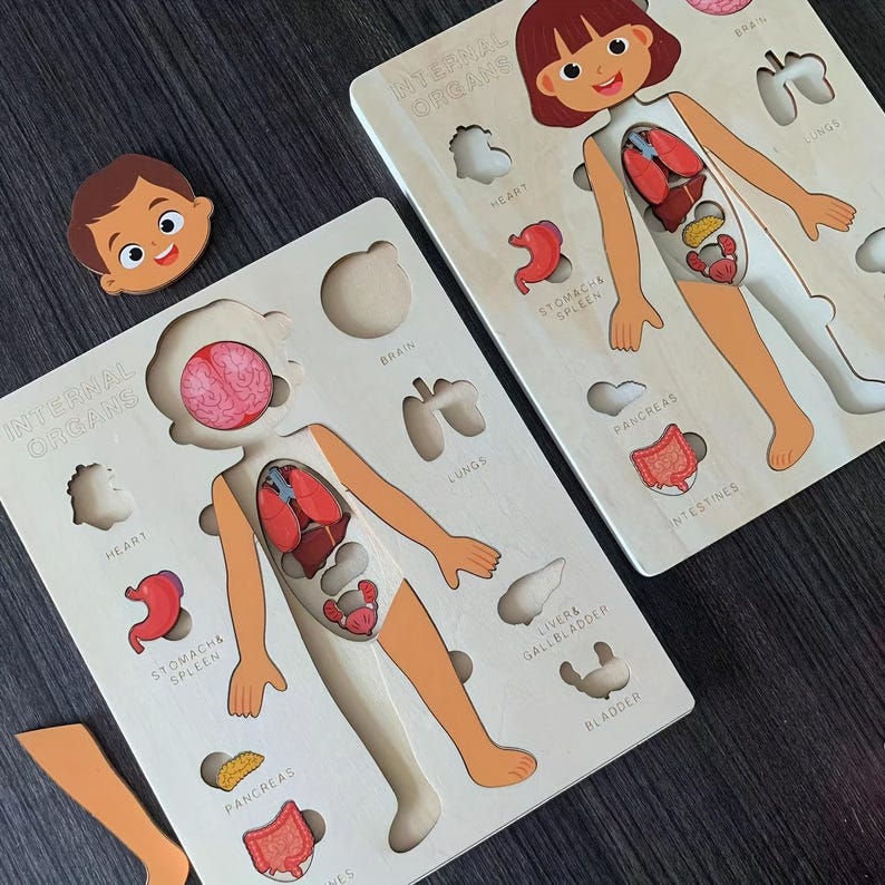 Montessori Human Body Puzzle – Educational Wooden Anatomy Toy for Kids ...