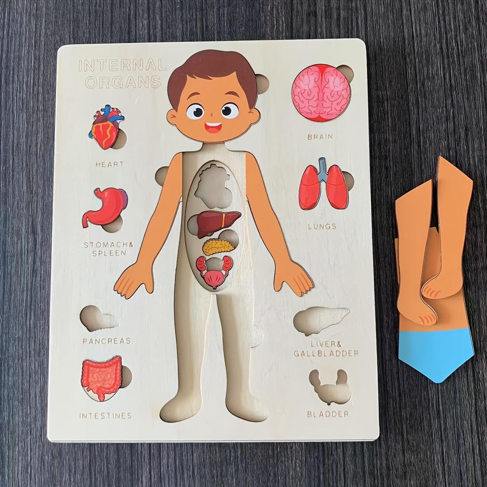 Montessori Human Body Puzzle – Educational Wooden Anatomy Toy for Kids ...