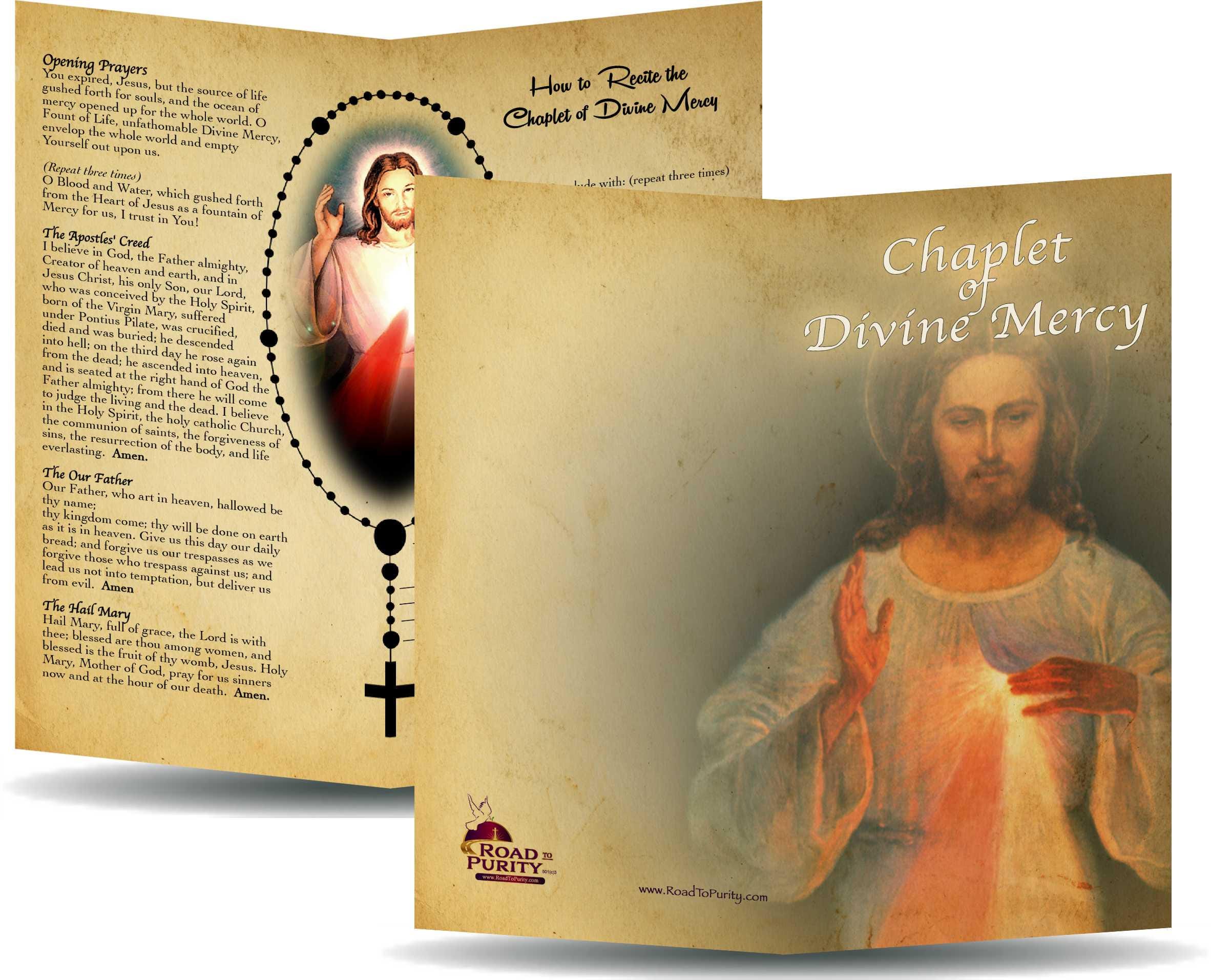 Chaplet of Divine Mercy - Prayer Card / 3x 6" Folded (p) (c) - Etsy