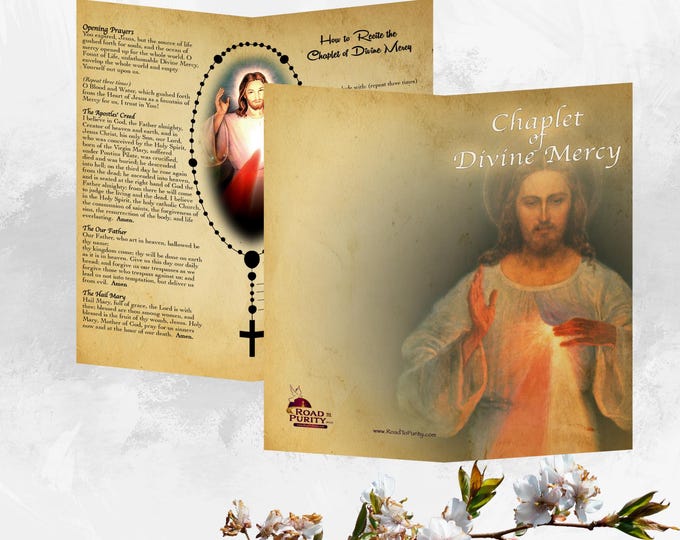 DIVINE MERCY BOOKMARKS - Set of 5, Laminated, Full Color Front & Back ...