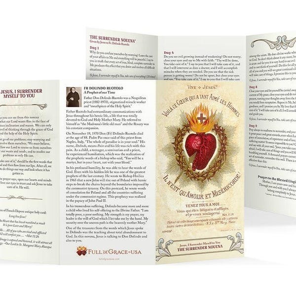 The Surrender Novena Prayer Card - Etsy