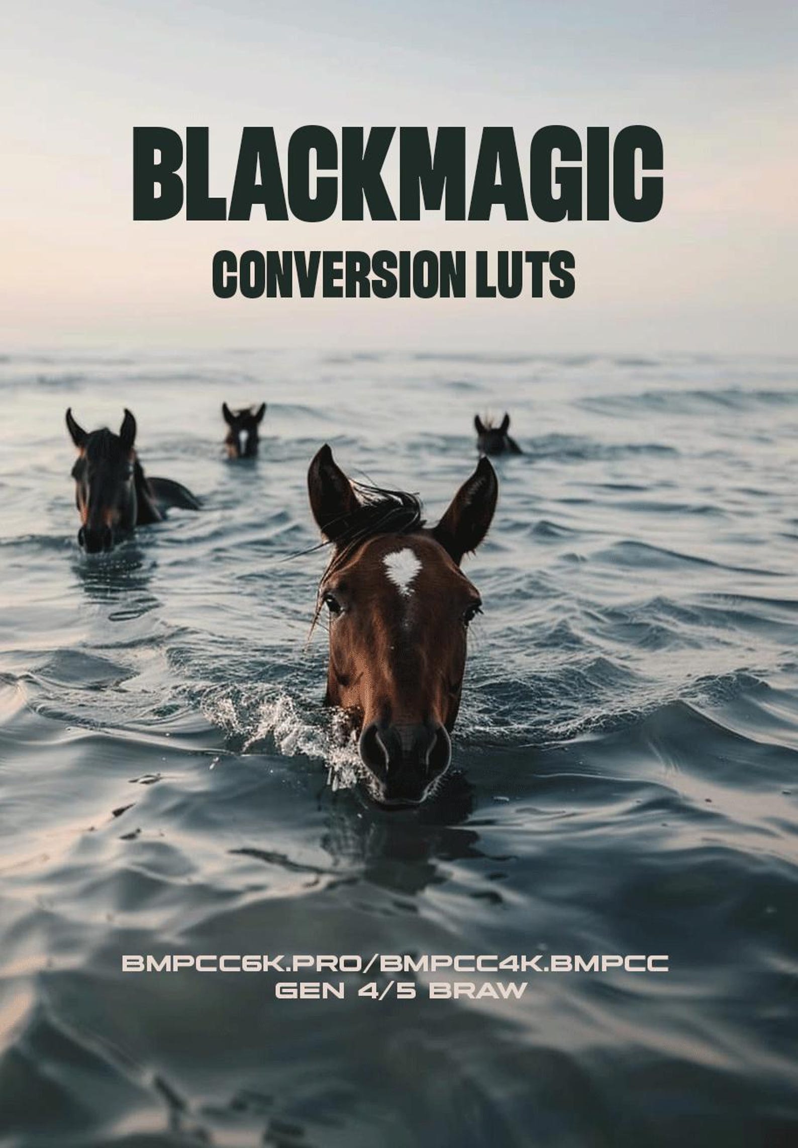 BLACKMAGIC CONVERSION LUTS - Etsy