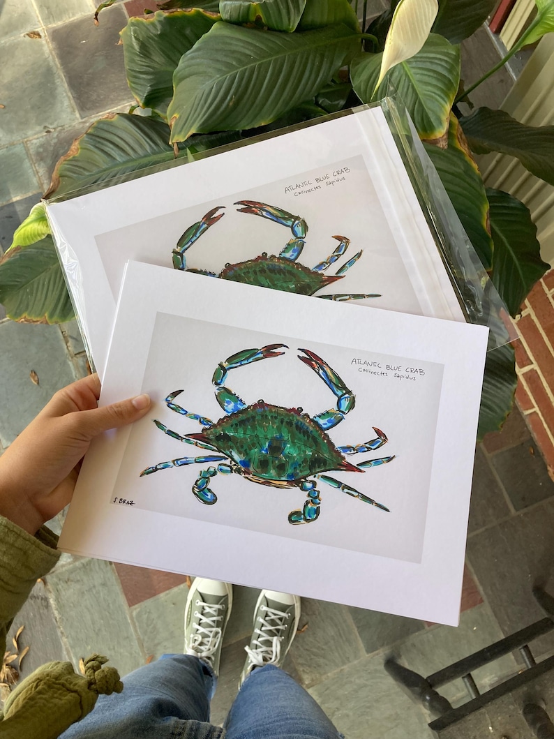 Atlantic Blue Crab Print - Watercolor and Ink - Etsy