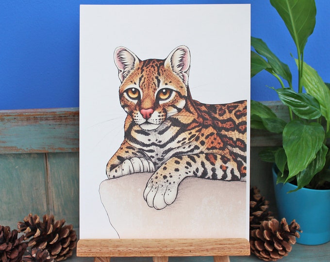 Ocelot Illustration A4 Print | Etsy