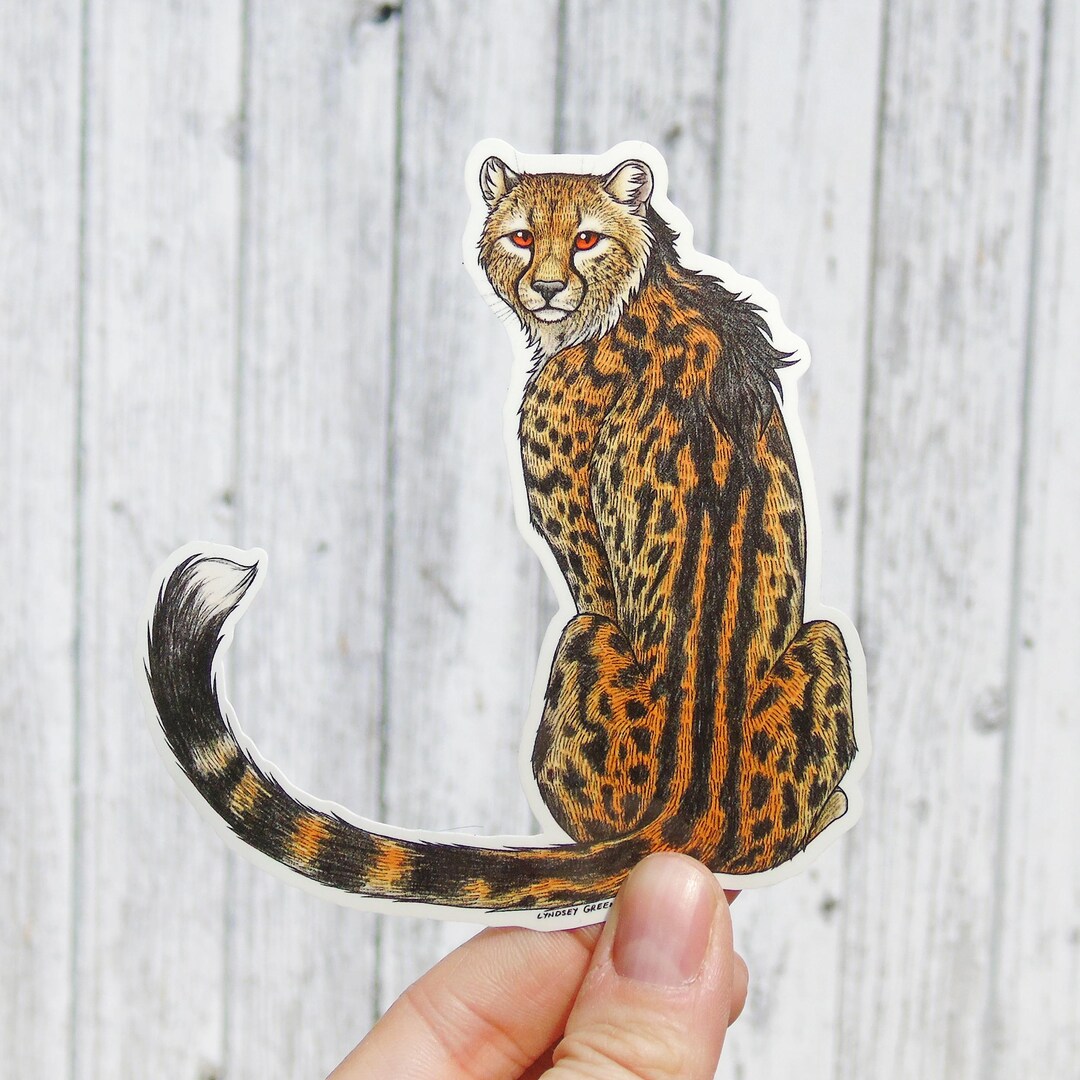 King Cheetah Vinyl Sticker - Etsy
