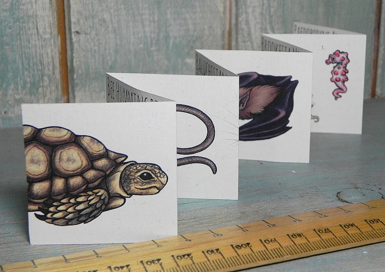 The Tiny Book of Tiny Animals - Mini Concertina Zine With Life-size ...