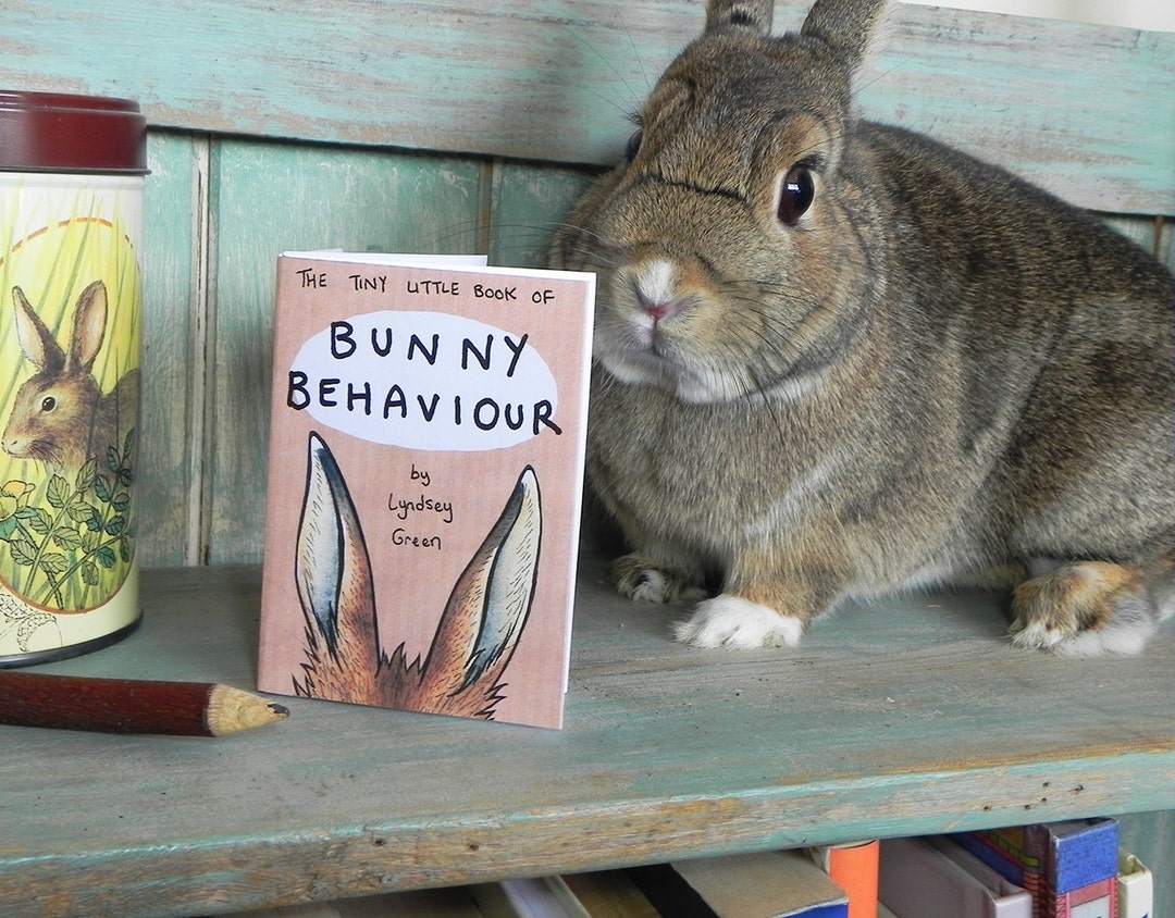 The Tiny Little Book of Bunny Behaviour - Illustration Mini Zine - Etsy