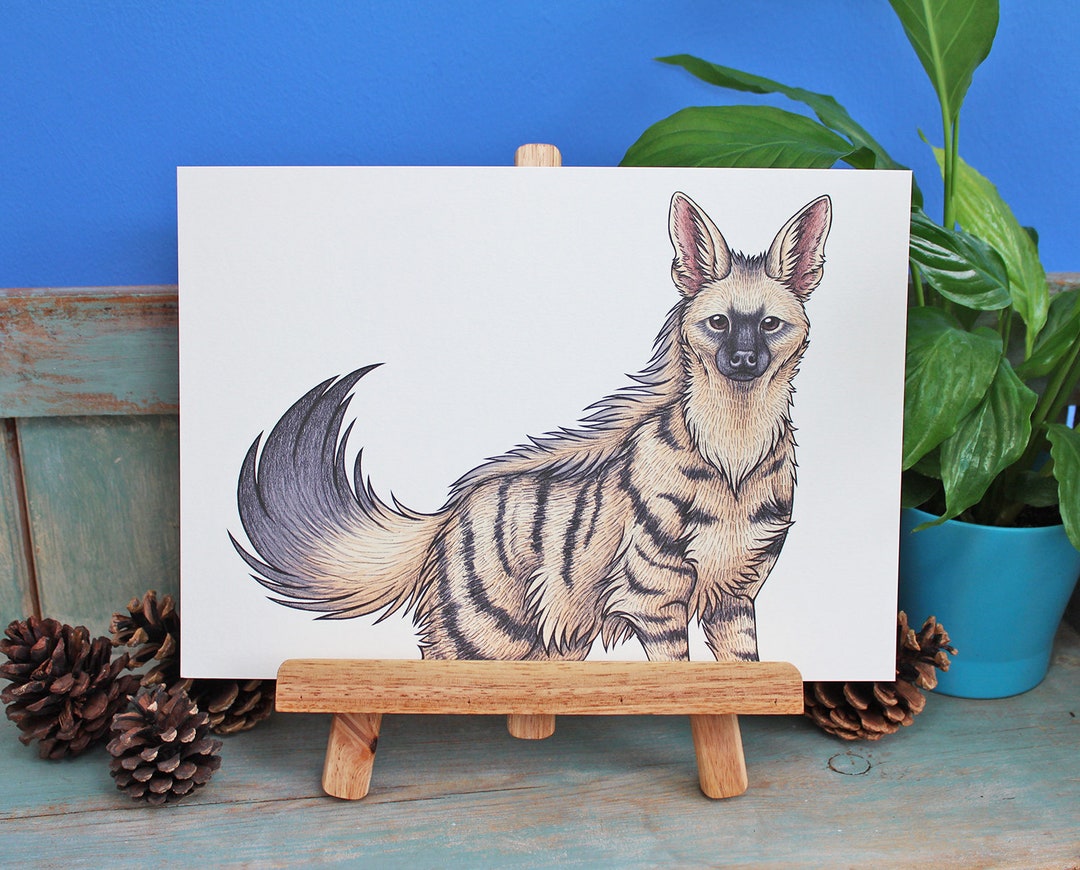 Aardwolf Illustration A4 Print - Etsy