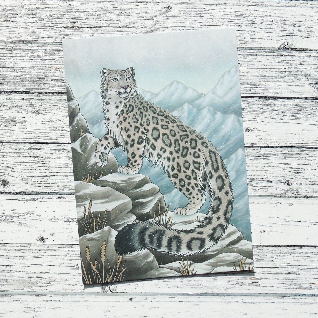 Snow Leopard Illustration A4 Print - Etsy