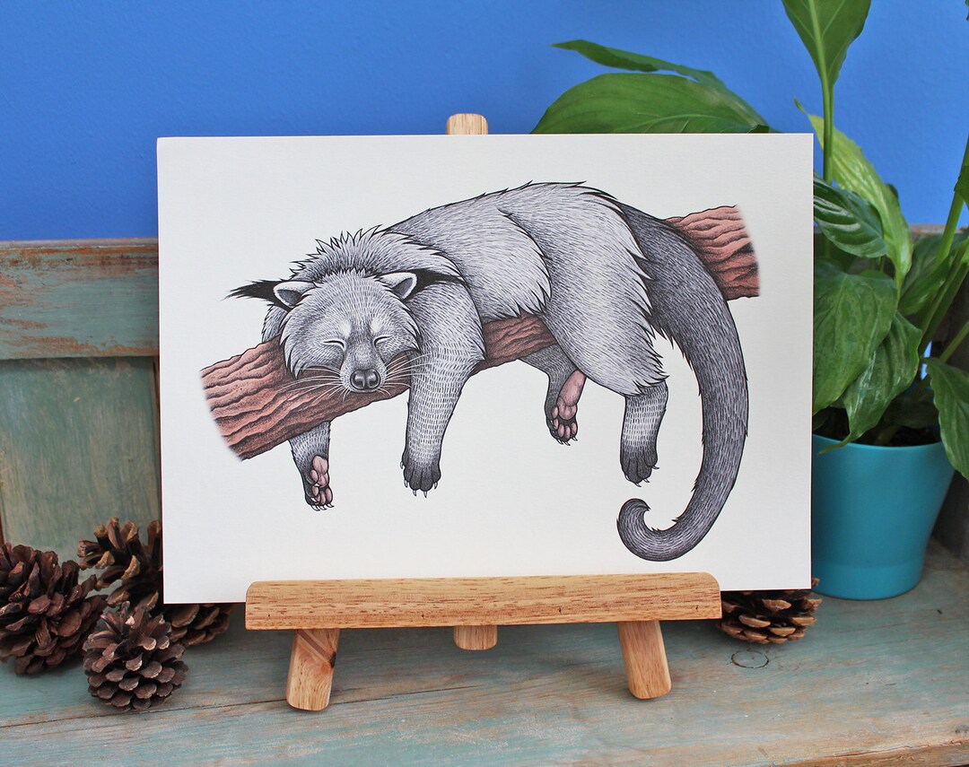 Binturong Illustration A4 Print - Etsy