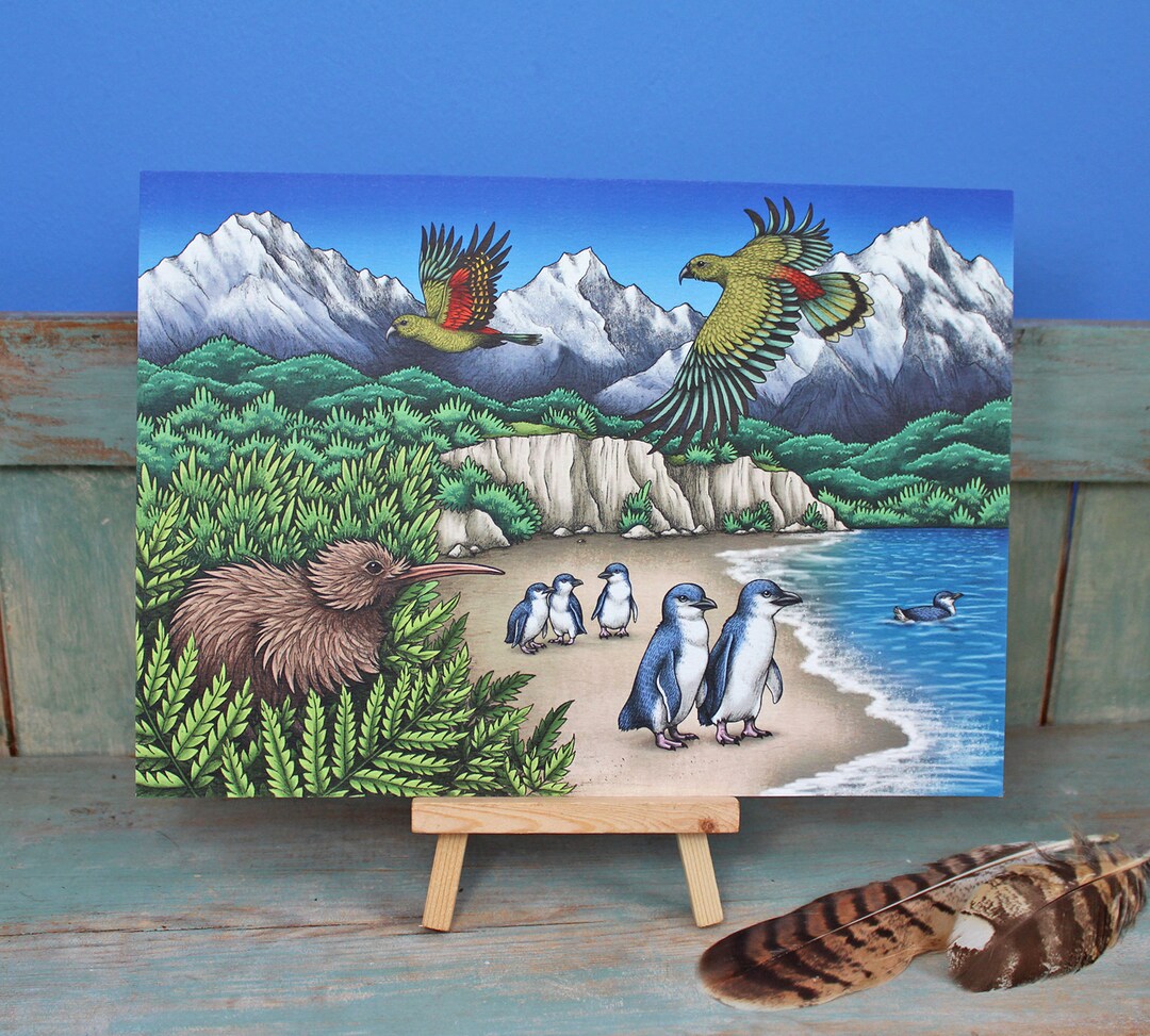 Native Birds of New Zealand Illustration A4 Print - Etsy