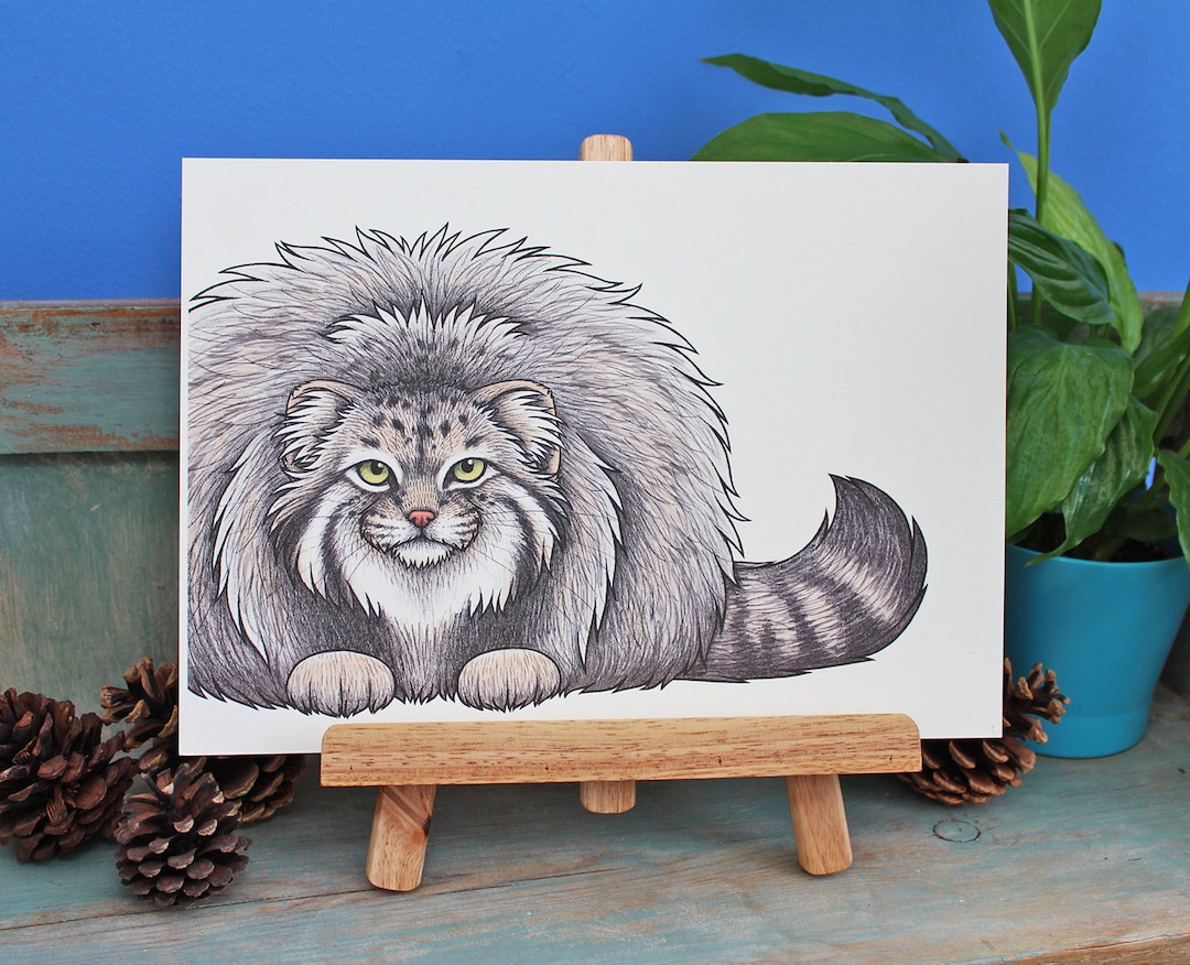 Pallas's Cat Illustration A4 Print - Etsy