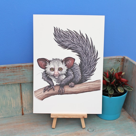 Aye Aye Illustration A4 Print | Etsy