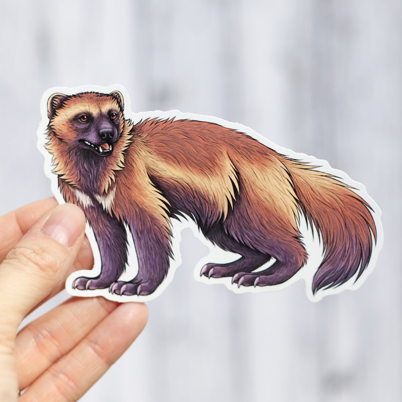Wolverine Animal - Etsy