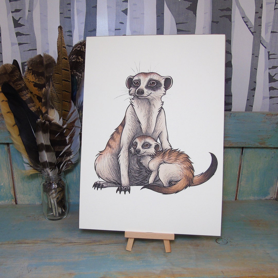 Meerkats Illustration A3 Print - Etsy