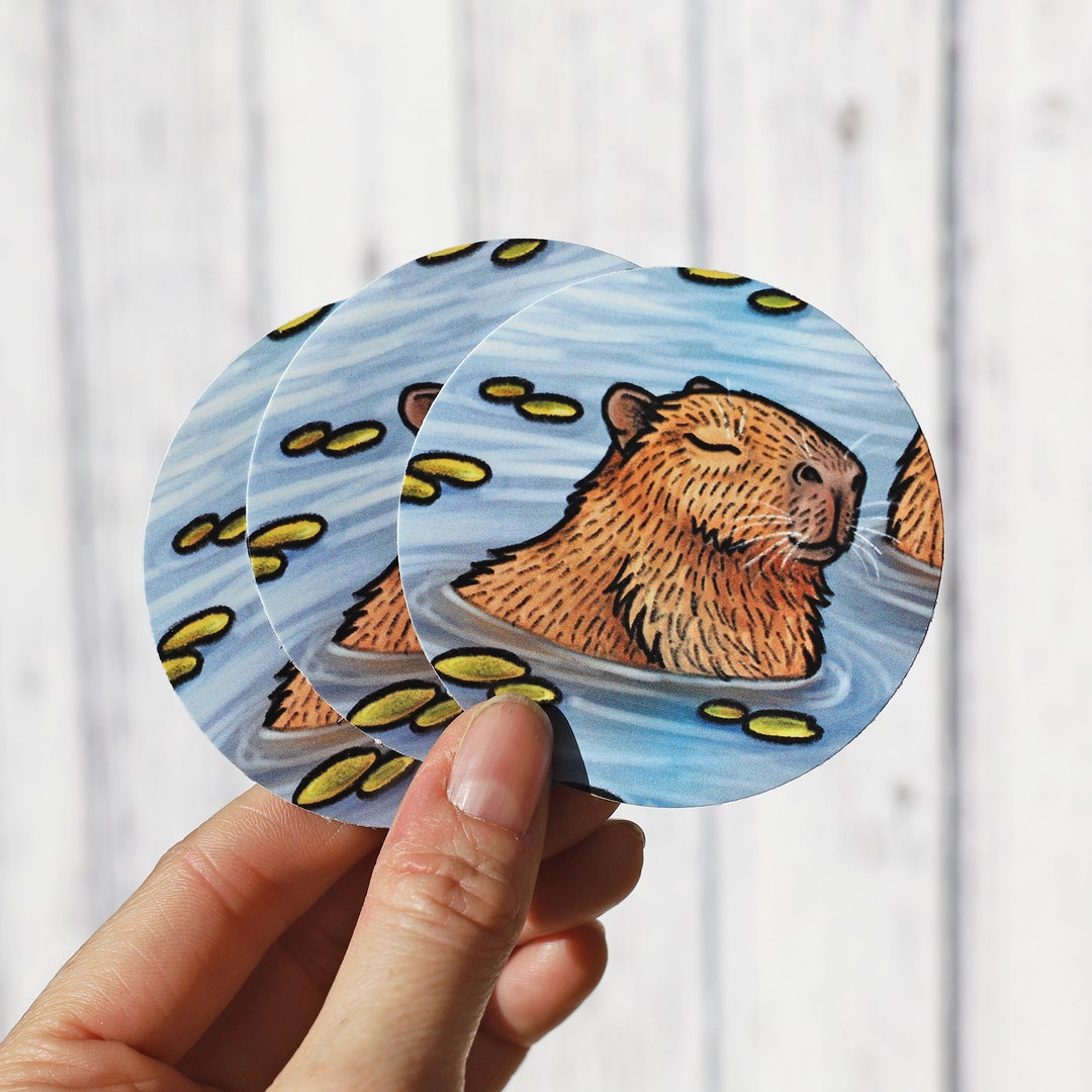 3 X Capybara Paper Stickers 6.9cm - Etsy