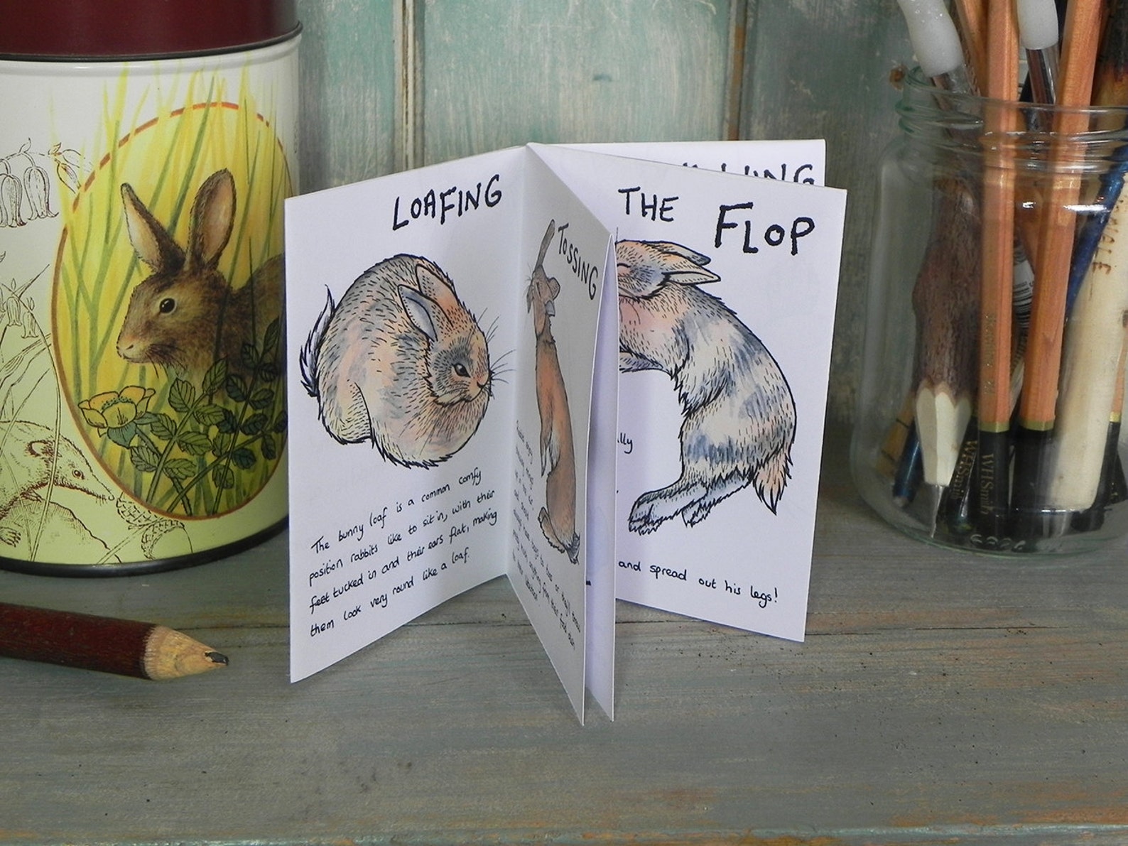 The Tiny Little Book of Bunny Behaviour Illustration Mini - Etsy Australia