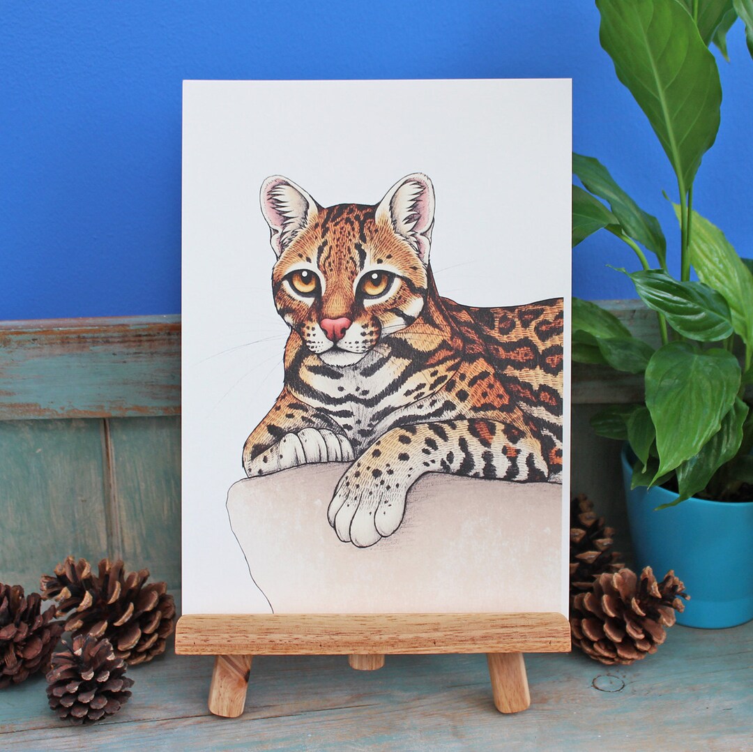 Ocelot Illustration A4 Print - Etsy