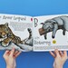 A to Z of Feliformia - an Illustrated Alphabet Book of Cat-like ...