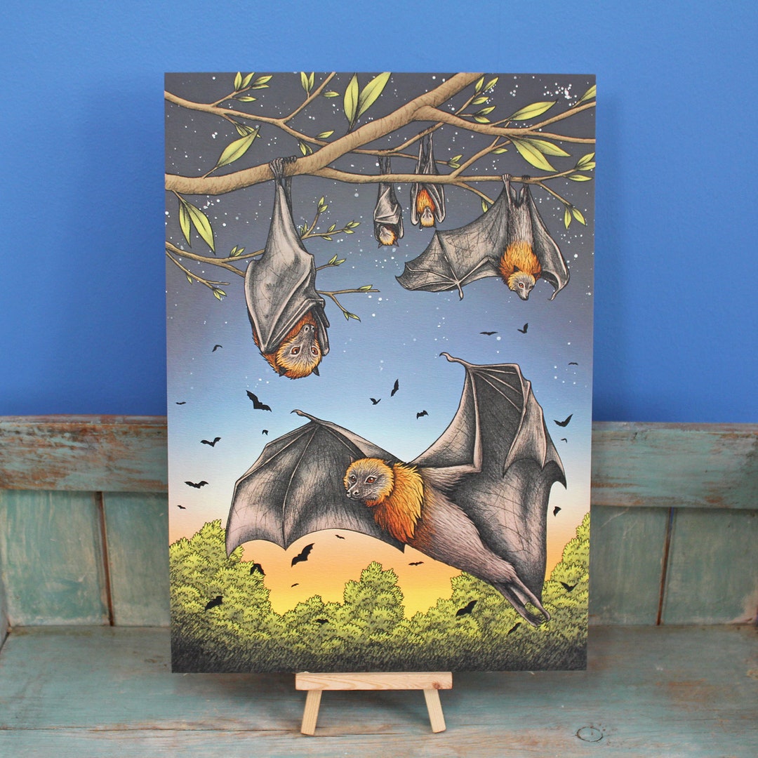 Rodrigues Fruit Bats Illustration A3 Print - Etsy