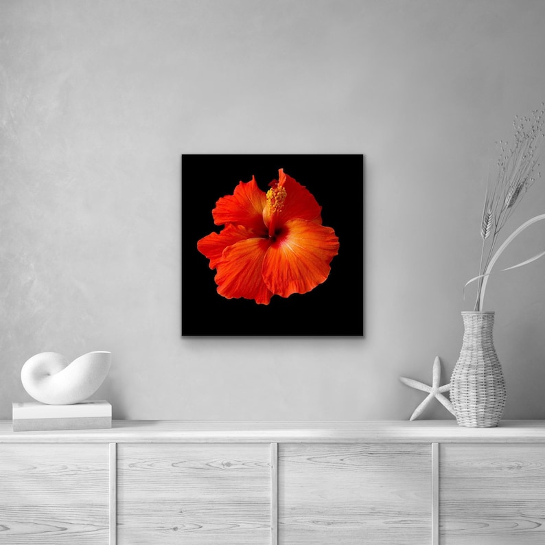 Canvas Print Wall Art Large 18x24 Inches Red Hibiscus Black or Blue ...