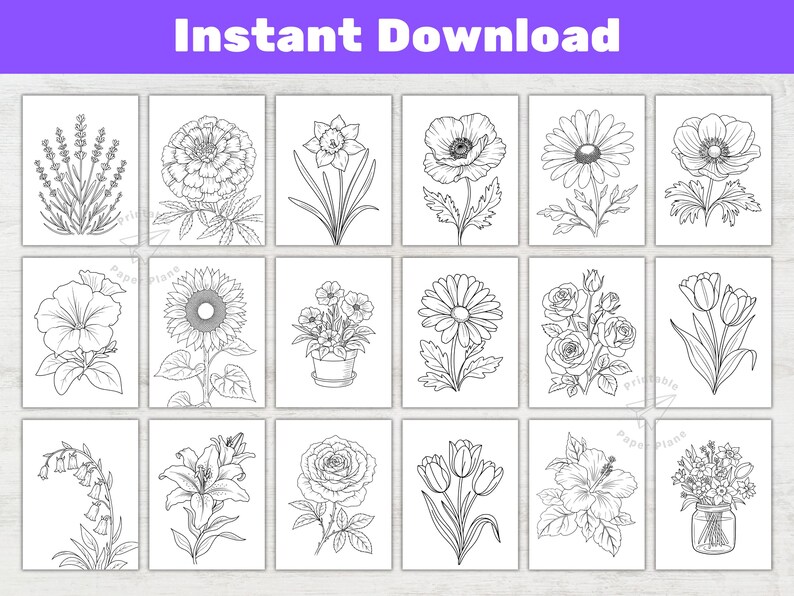 Relaxing Flower Coloring Book for Adults, Easy Floral Bouquet Botanical ...