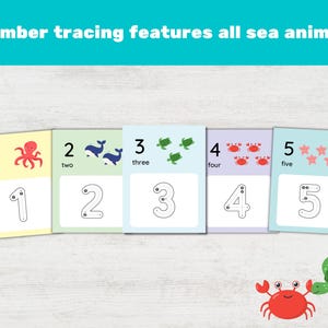Animal ABC Alphabet Tracing Cards for Preschool｜animal Themed ...