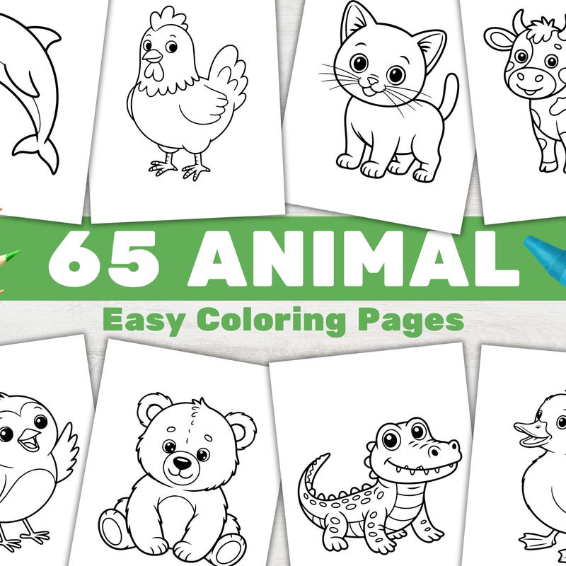 Printable Bird Coloring Pages - Etsy