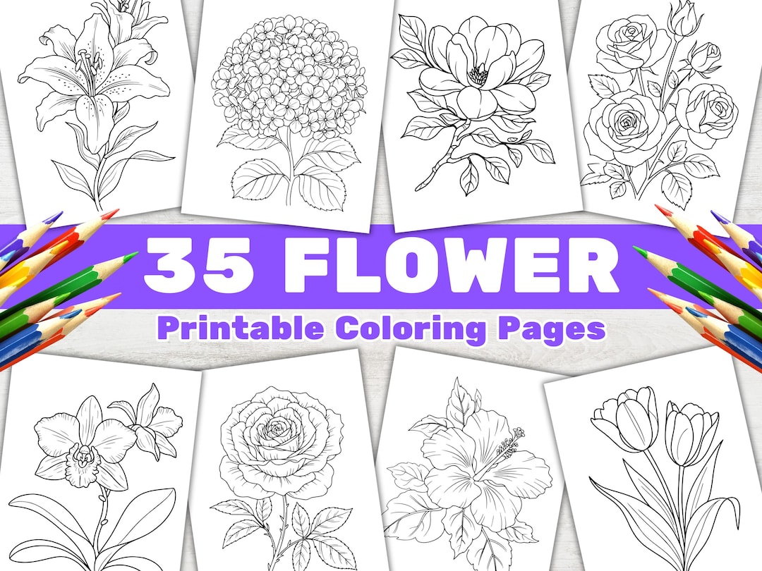 Relaxing Flower Coloring Book for Adults, Easy Floral Bouquet Botanical ...