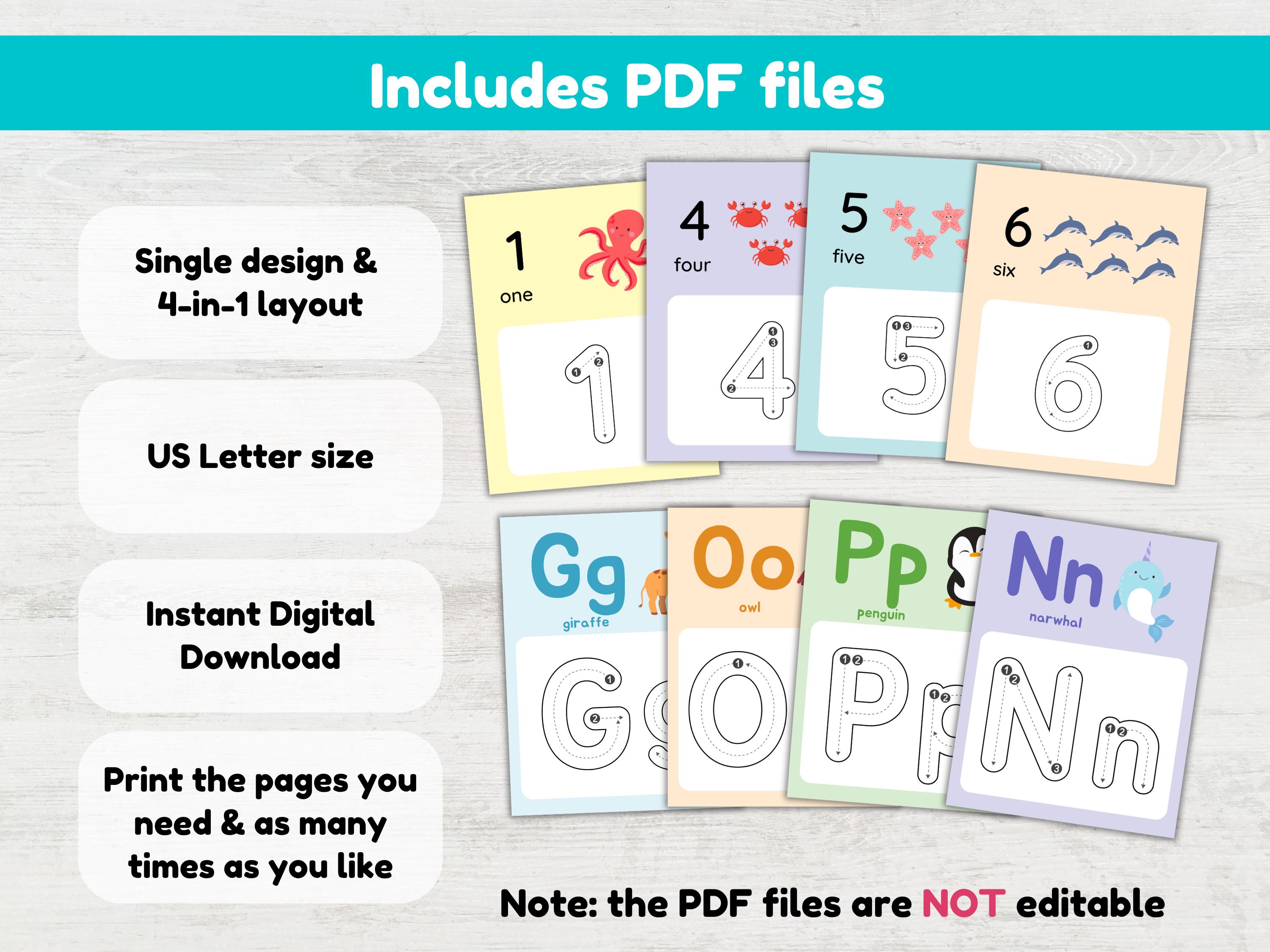 Animal ABC Alphabet Tracing Cards for Preschool｜animal Themed ...