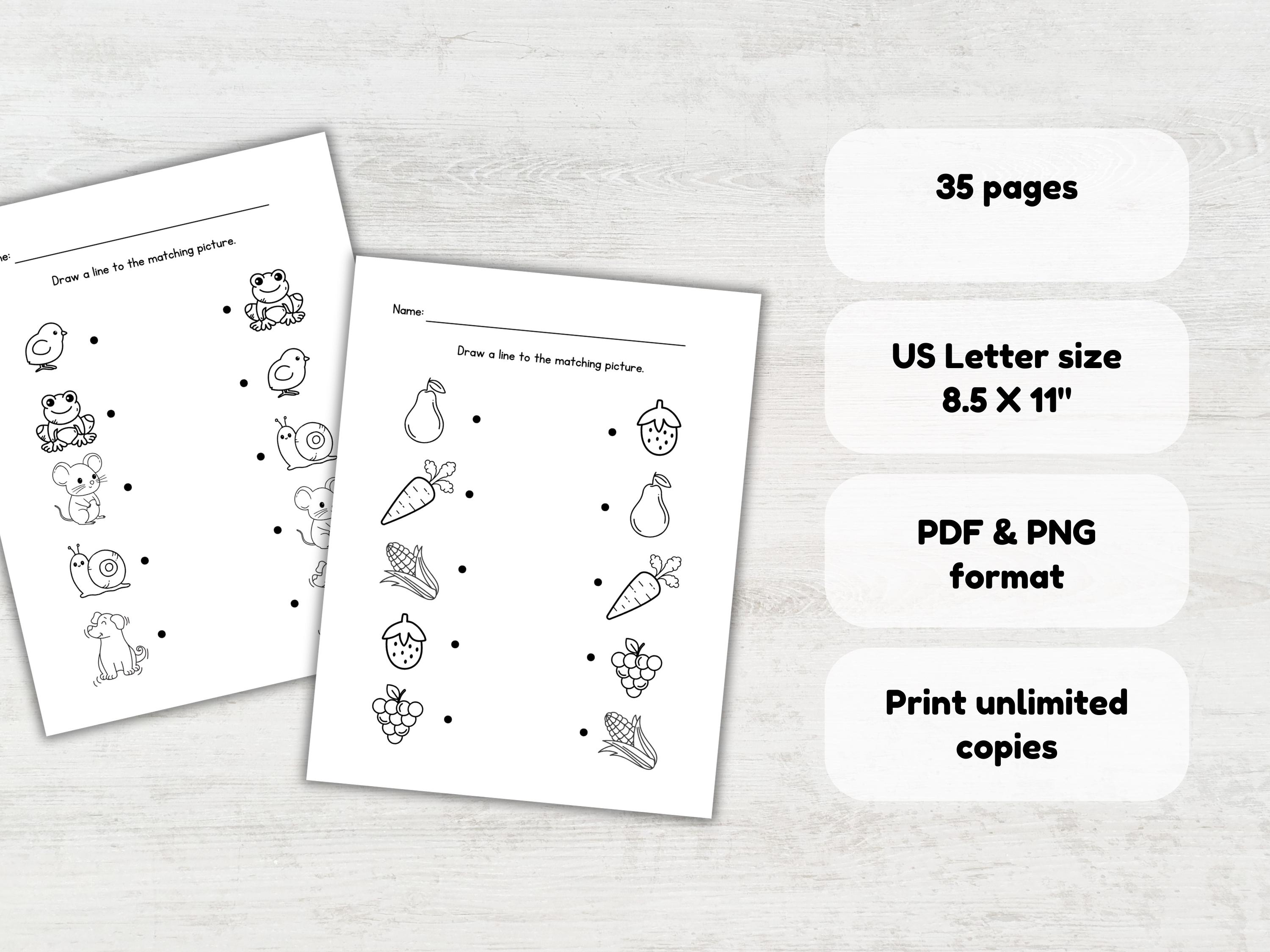 35 Toddler Matching Activity Worksheets for Preschool, Homeschool ...