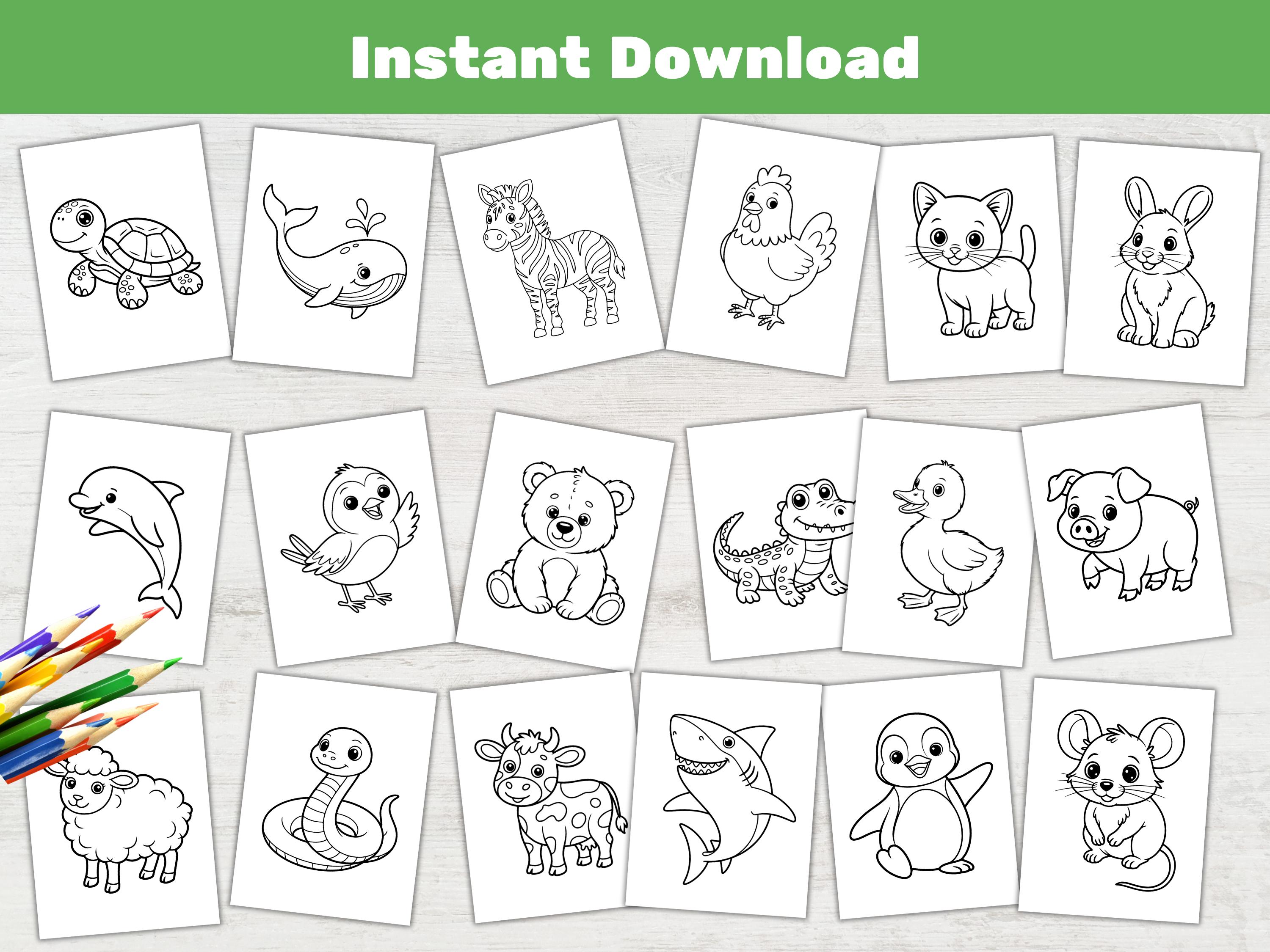 Animal Coloring Book for Kids, Easy Toddler Activity Pages, Preschool ...