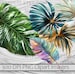 Tropical Leaf Clipart Tropical Rainforest Leaves Clip Art Palm Tree ...