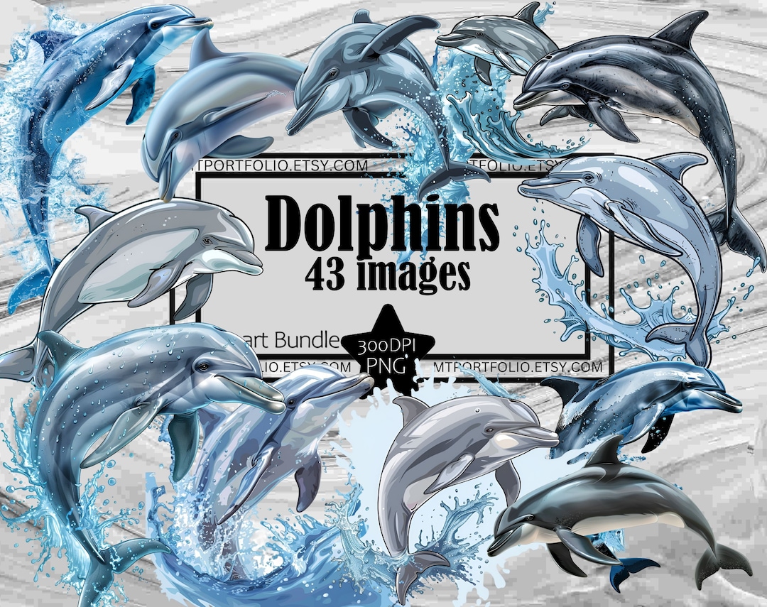 Dolphin Clipart Bottlenose Dolphin PNG Digital Download Porpoise PNG ...