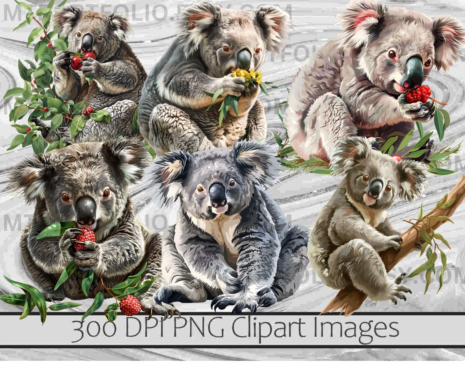 Koala Bear Clipart Marsupial PNG Digital Download Koalas PNG Clipart ...