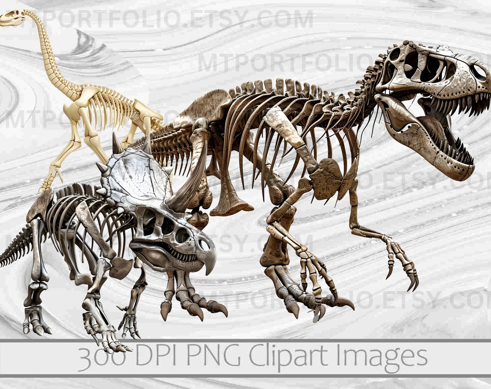 Dinosaur Fossil Clipart Skeleton PNG Graphic Dinosaur Bones Transparent ...