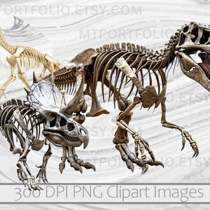 Dinosaur Fossil Clipart Skeleton PNG Graphic Dinosaur Bones Transparent ...