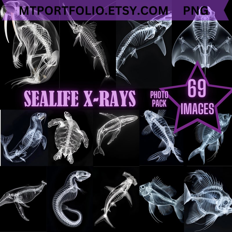 Animal Xray Poster - Etsy UK