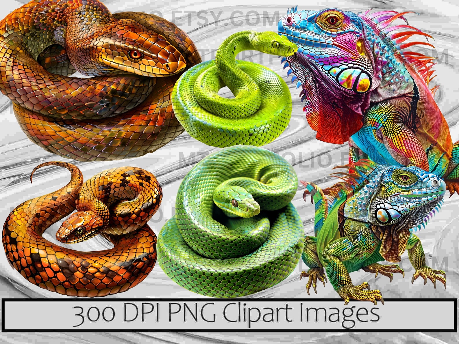 Reptile Clipart Lizard Gecko PNG Bundle PNG Graphics Transparent ...