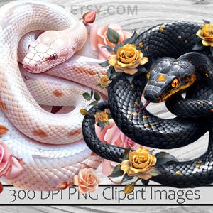 Snake and Roses Clipart PNG Bundle Boa Snake Graphic Transparent ...