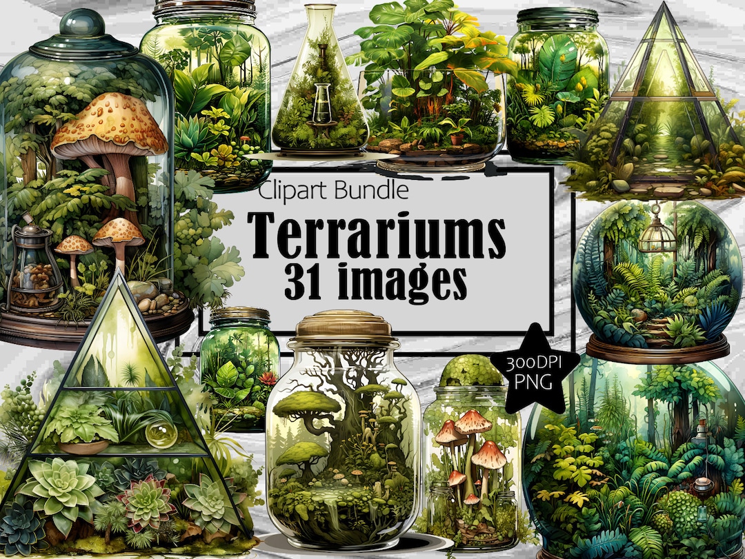 Terrariums - Ecosystem in a Bottle - Tropical Plants Graphics ...