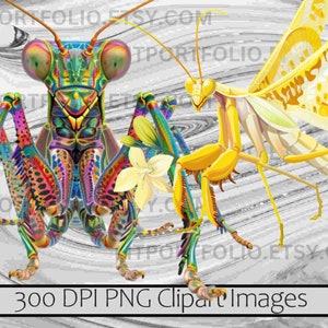 Praying Mantis Clipart Insect PNG Bundle PNG Graphics Transparent ...