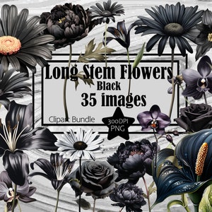 Mega Flower PNG Long Stem Rose Clipart Flowers PNG Bundle Graphics ...