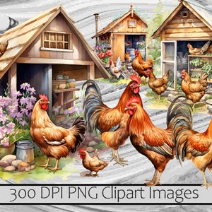 Watercolor Chicken Clipart Homestead Farm PNG Graphics Baby Chicks PNG ...