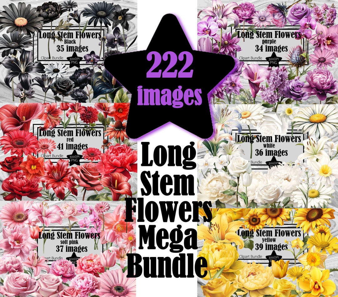 Mega Flower PNG Long Stem Rose Clipart Flowers PNG Bundle Graphics ...